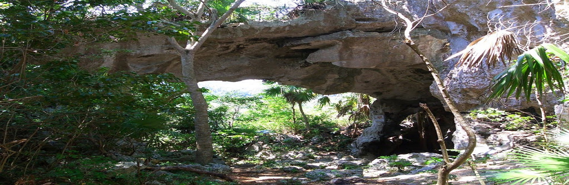 Escaleras de Jaruco, Jardines de Hershey | Naturaleza | Cuba